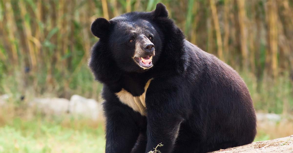 National Poll | Share Your Voice! World Opinions & News Polls